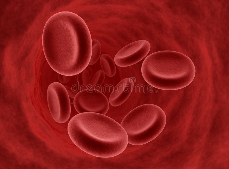 Cellules sanguines illustration stock. Illustration du grossissement ...