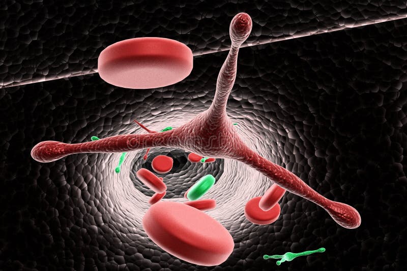 Globules Sanguins Avec Le Virus Illustration Stock - Illustration du ...