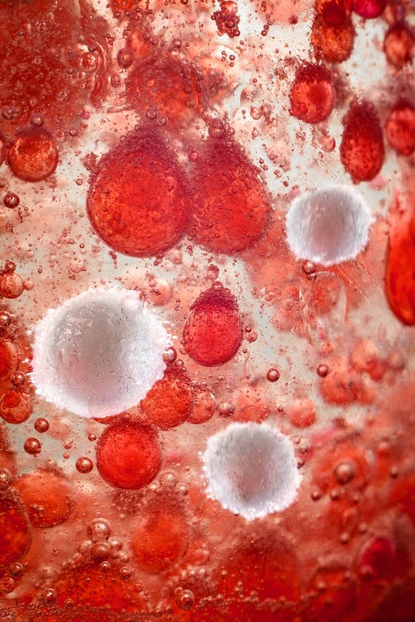 Globules Sanguins Blancs Rouges Photo stock - Image du microbiologie ...