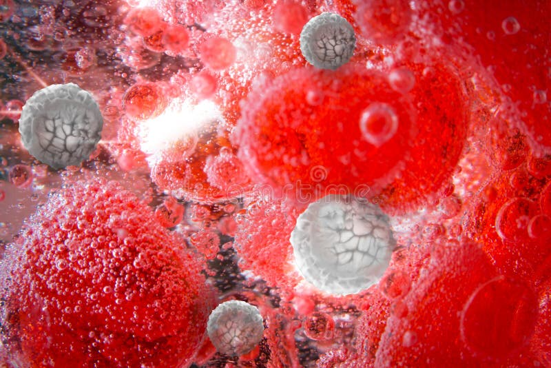 Globules Sanguins Rouges Et Blancs Image stock - Image du santé ...