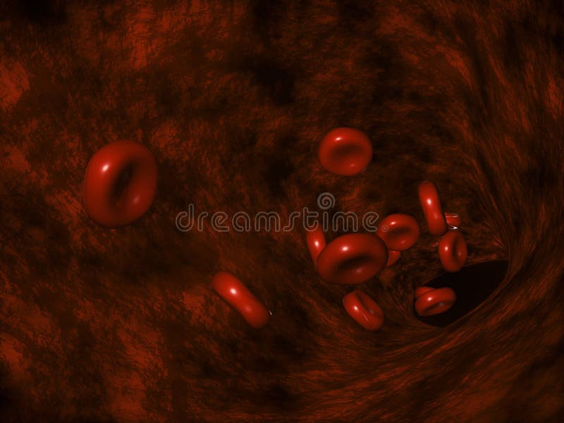 Globules Sanguins Dans La Veine Illustration Stock - Illustration du ...