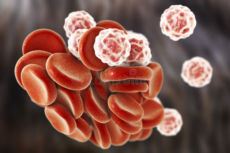 Globules Sanguins, Illustration 3D Illustration Stock - Illustration du ...