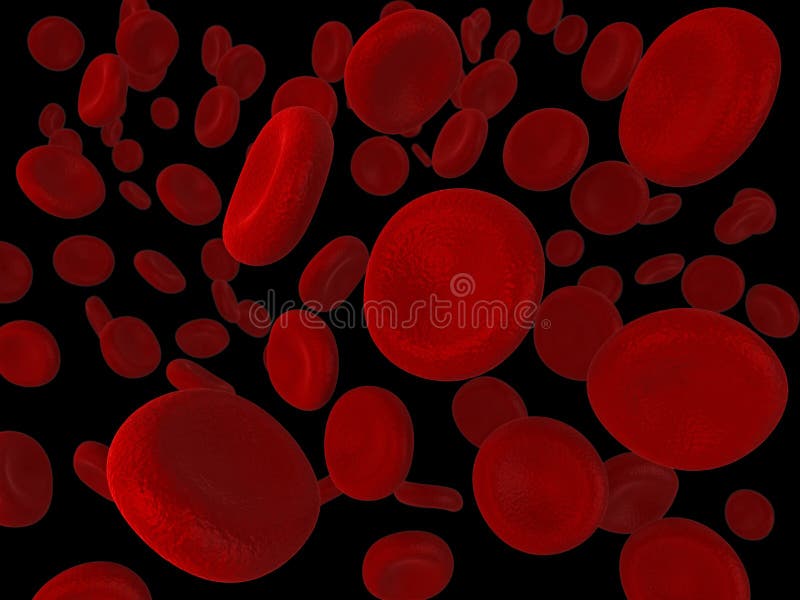Globule Rouge Dans Le Vaisseau Sanguin Illustration Stock ...