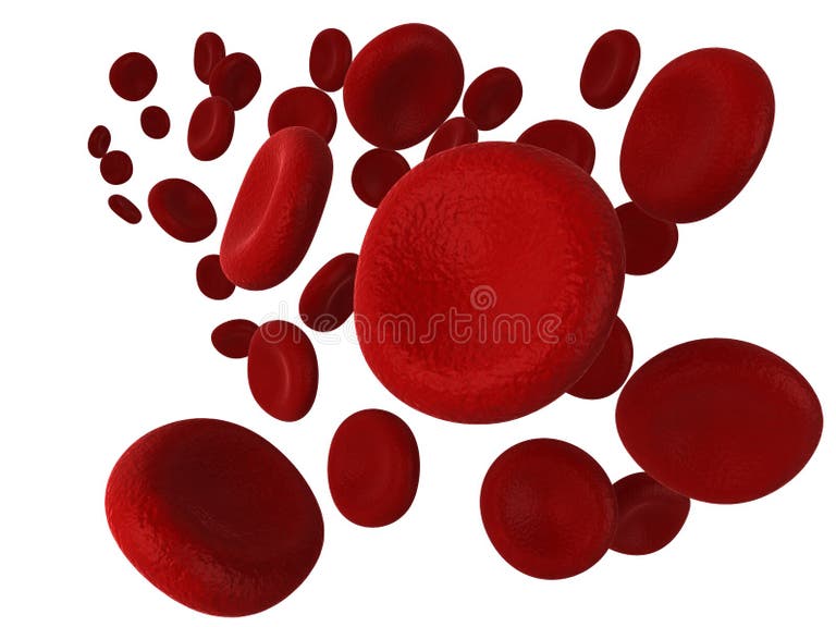 Globules sanguins rouges illustration stock. Illustration du humain ...