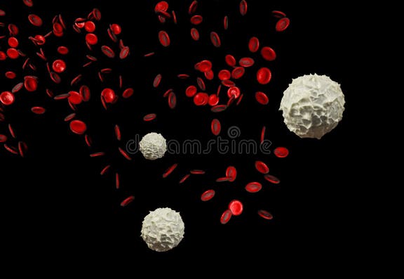 Globules Sanguins Rouges Et Blancs Image stock - Image du santé ...
