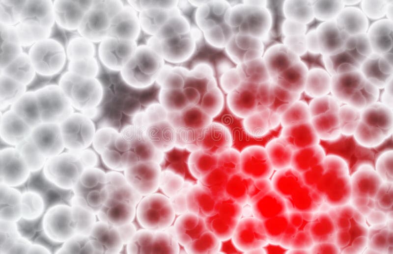Globules Sanguins Rouges Et Blancs Illustration Stock - Illustration du ...