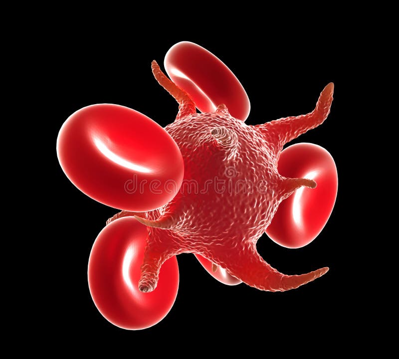 Globuli Rossi E Bianchi E Piastrine Che Attraversano Una Nave O Una ...