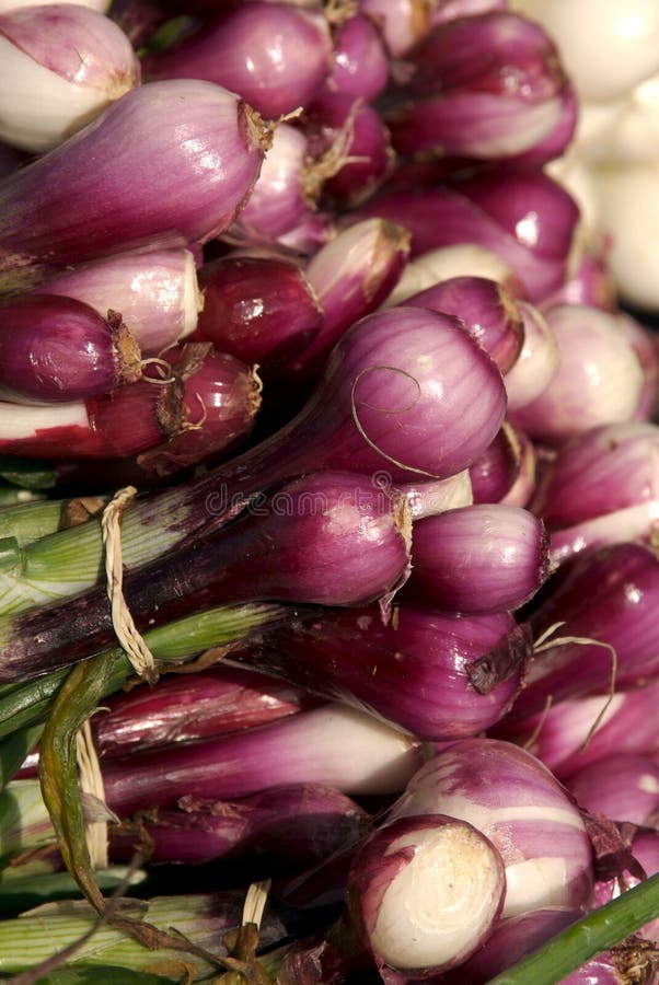 Groene Uien stock afbeelding. Image of bossen, opbrengst - 978291