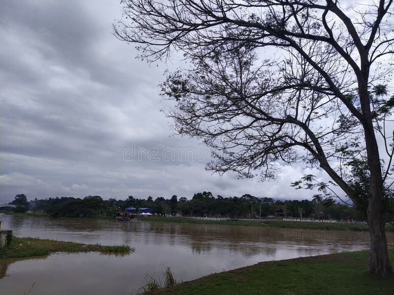 The gloomy day stock photo. Image of lonely, pond, reflection - 262975082