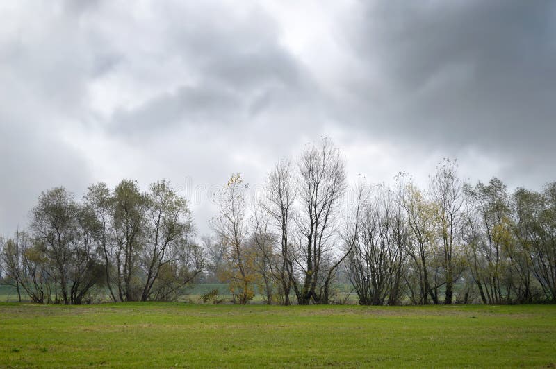 Gloomy landscape stock photo. Image of wood, outdoor - 58187230