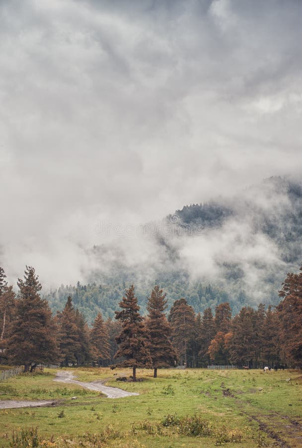 Gloomy Landscape with Mountains in Clouds and Forest Stock Photo ...