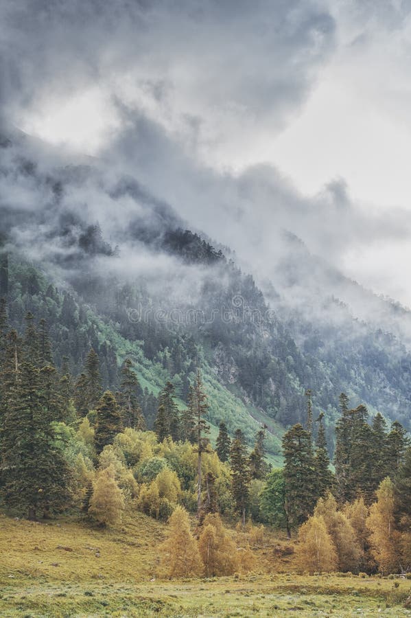 45,912 Gloomy Landscape Photos - Free & Royalty-Free Stock Photos from ...