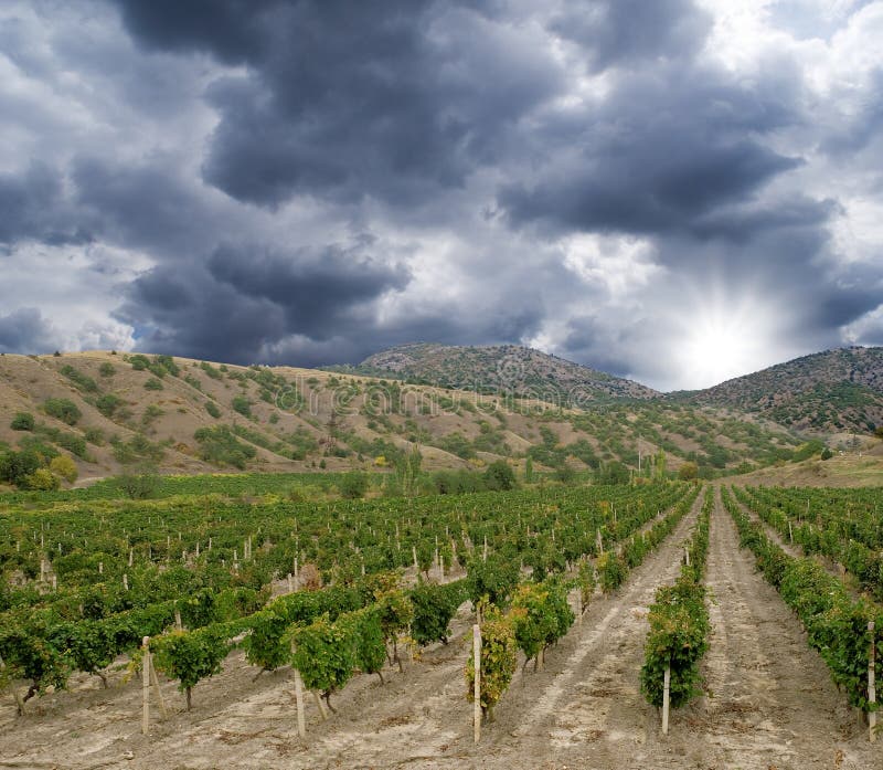 Gloomy morning stock photo. Image of clouds, village, berry - 7394216