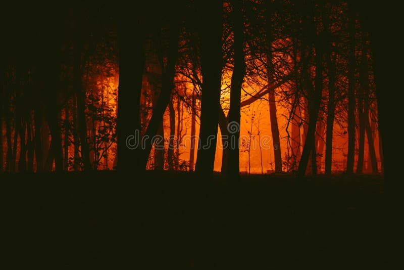 Autumnal Desolate Park Stock Photos - Free & Royalty-Free Stock Photos ...