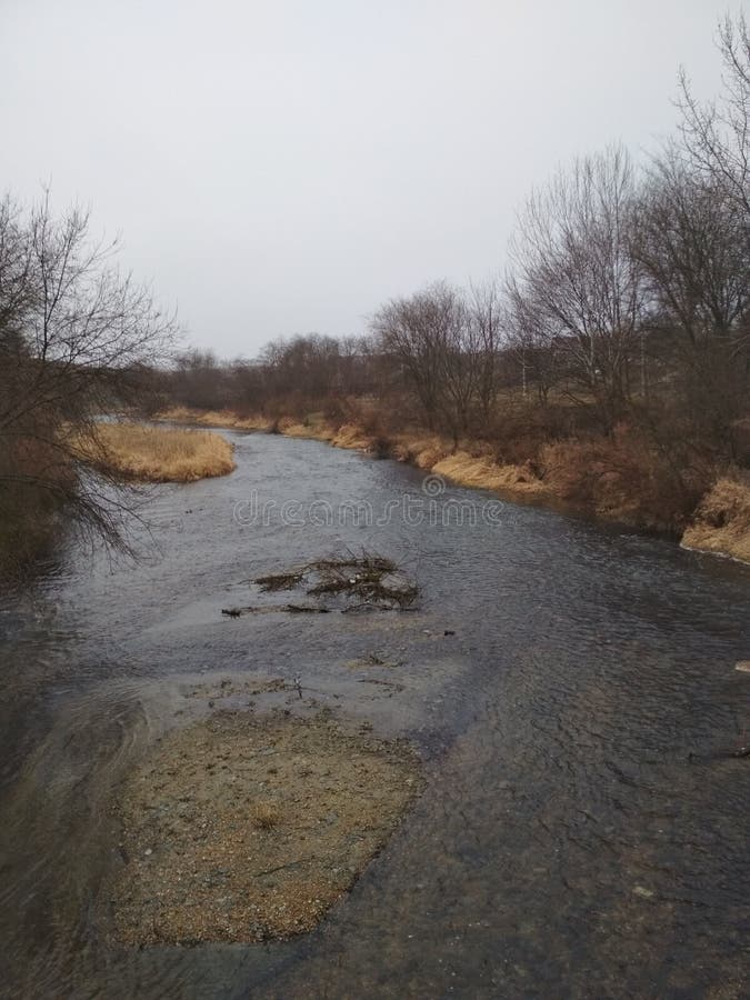 River among trees stock image. Image of marsh, snow - 228348167