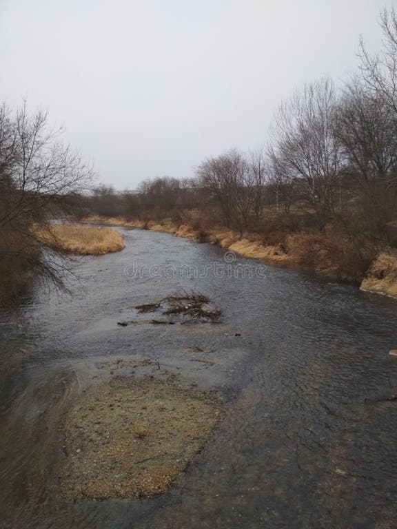 River among trees stock image. Image of marsh, snow - 228348167
