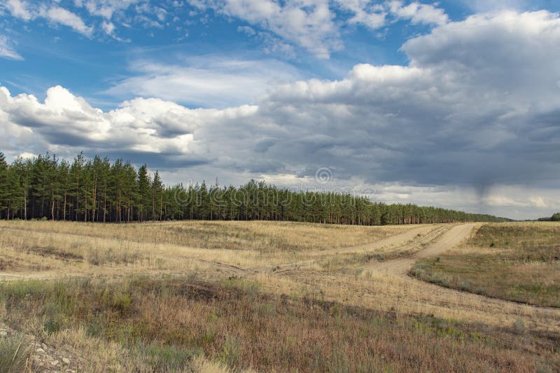 Gloomy Sky Over the Pine Forest. Sandy Clearing in the Forest Stock ...