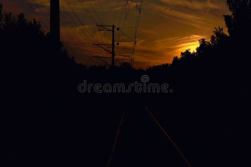 Gloomy Sunset in the Forest Stock Image - Image of horizon, poster ...