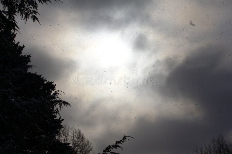 Gloomy Winter Sky with Fog or Clouds Stock Image - Image of seasonal ...