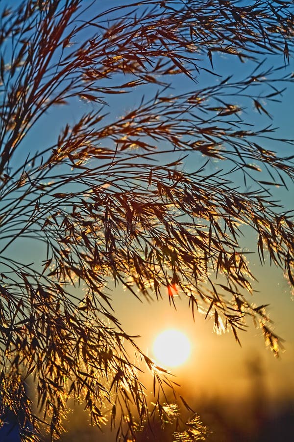 Glorious Day - Sun Rising on a Cool Summer Morning Stock Image - Image ...