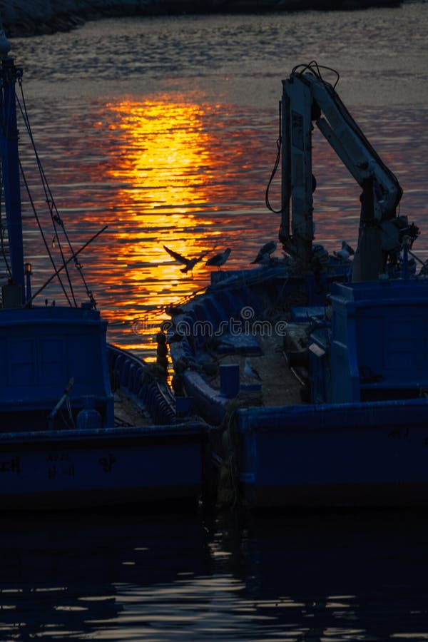 The Glorious Glow of the Winter Sea Stock Image - Image of landscape ...