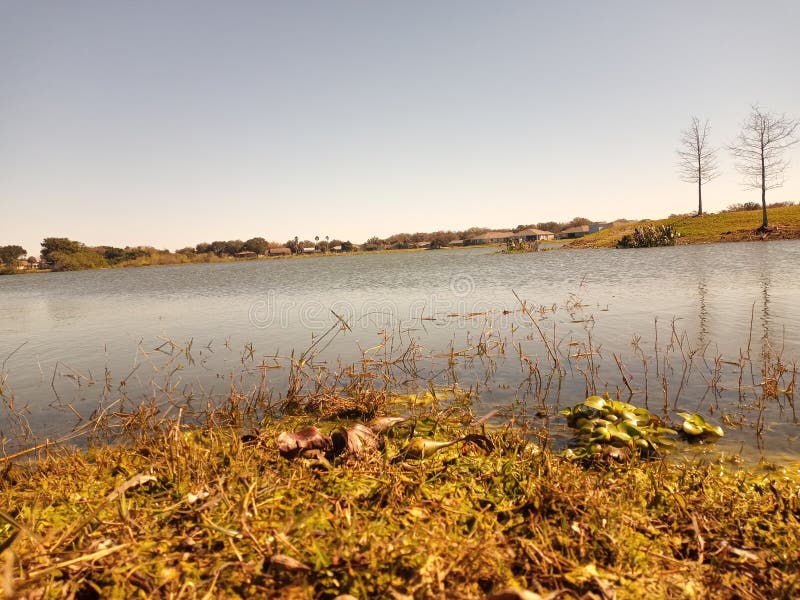 Glorious stock photo. Image of wetland, nature, sunlight - 209472518