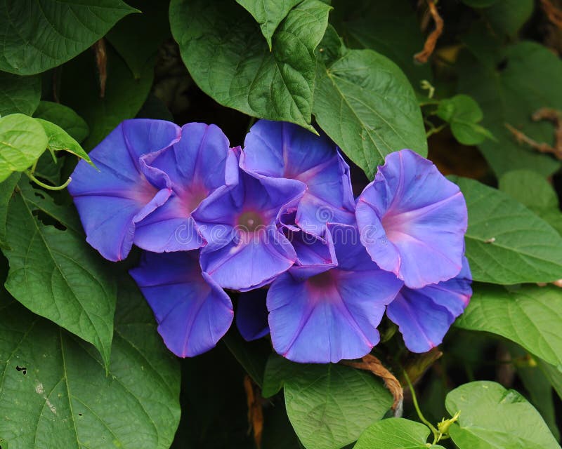 A Glorious Morning at Blyth Beach, with a Beautiful Sunrise Over the ...