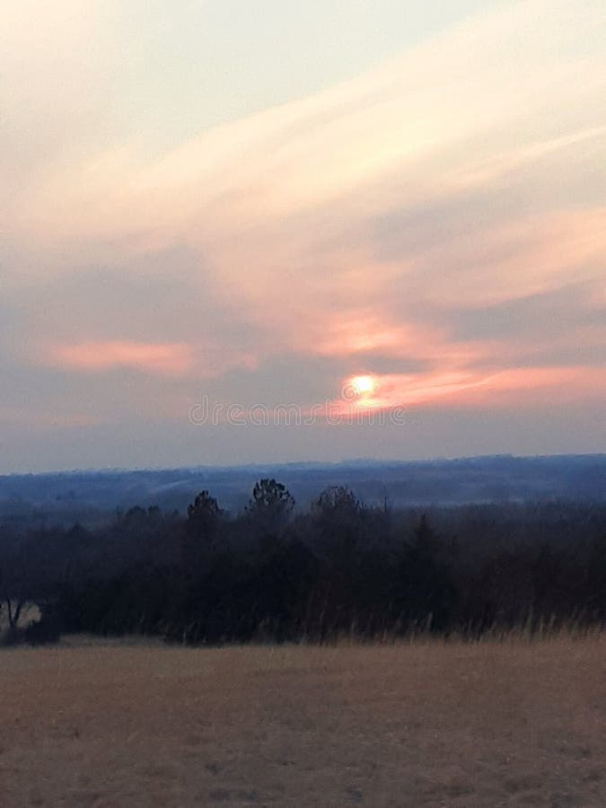 Glorious spring stock photo. Image of blossom, garden - 12796812