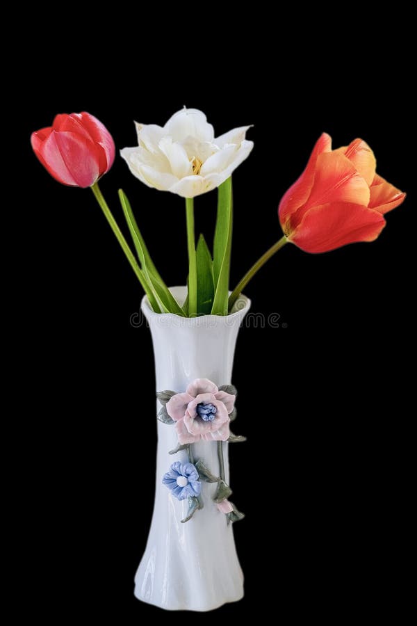 Glorious springtime tulips stock image. Image of tulips - 218004587