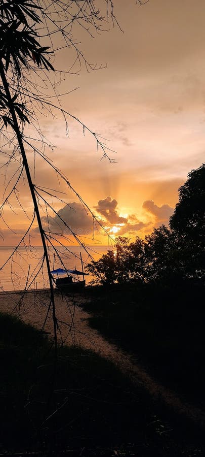 Glorious sun stock photo. Image of plant, evening, exploding - 280548578