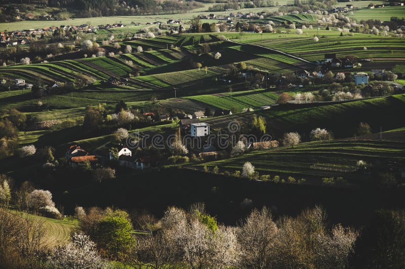 Glorious Sunrise Over Grassy Spring Rural Landscape Stock Photo - Image ...
