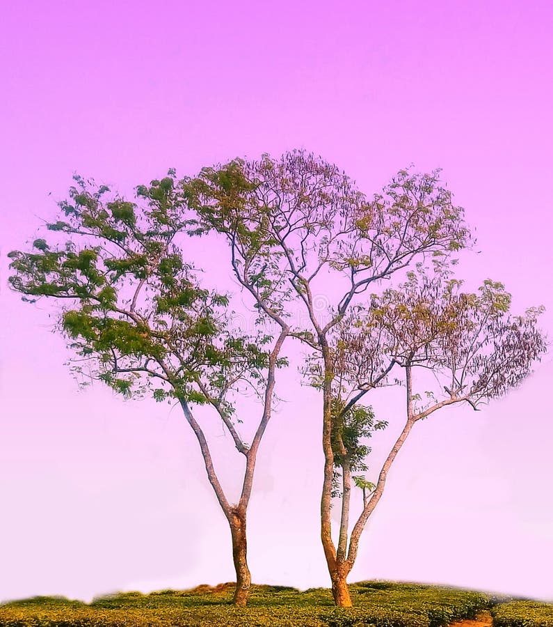 Glory of nature. stock image. Image of glory, real, nature - 140177157