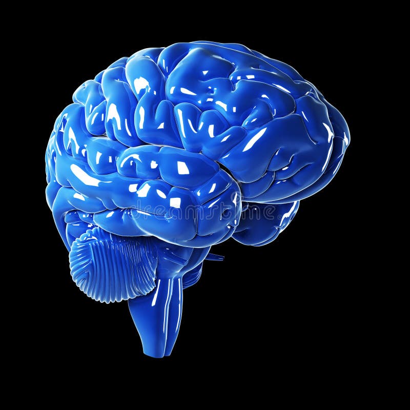 Glossy blue brain stock illustration. Illustration of element - 30721586