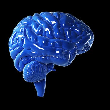 Brain Blue Cortex Stock Illustrations – 2,378 Brain Blue Cortex Stock ...