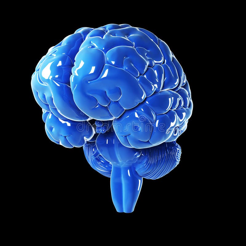 Brain stock vector. Illustration of brain, idea, science - 18645824