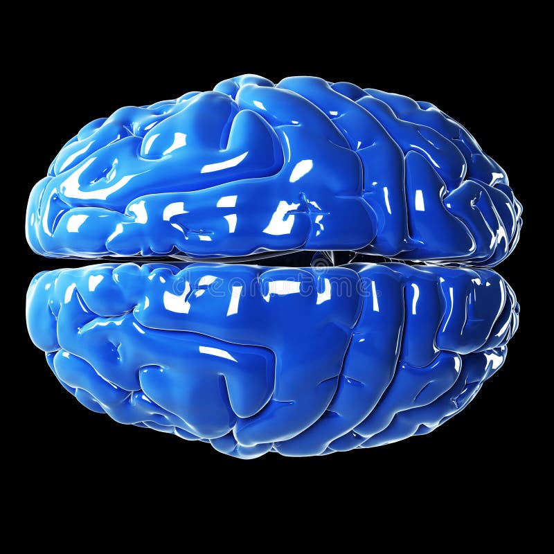 Glossy blue brain stock illustration. Illustration of neurology - 30721595