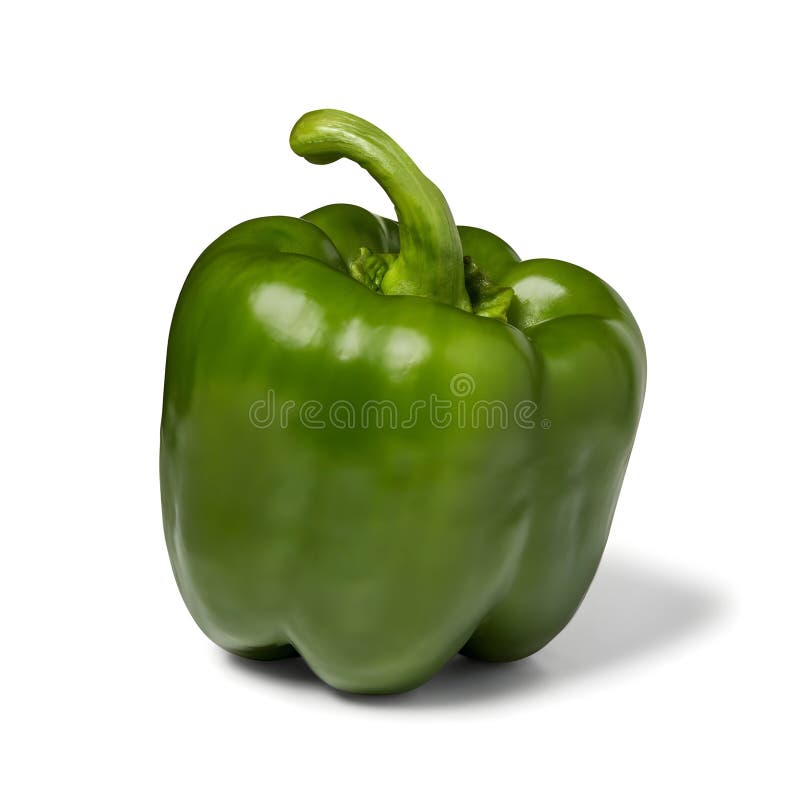 Glossy Green Bell Pepper with Curving Stem on a White Background Stock ...