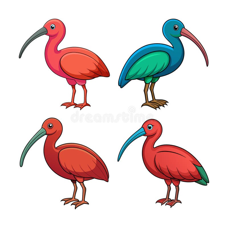 Glossy Ibis Bird Realistic Illustration Stock Vector - Illustration of ...