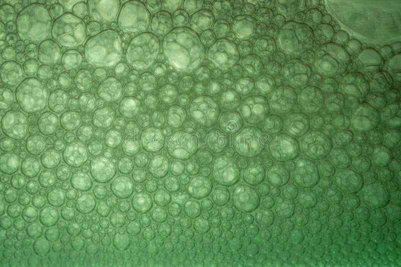 Glossy, Light Green Background with an Abundance of Soap Bubbles ...