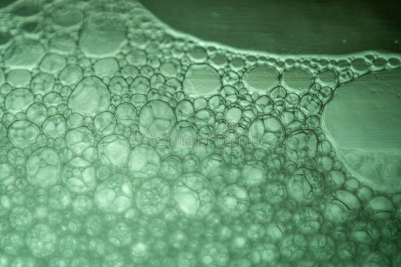 Glossy, Light Green Background with an Abundance of Soap Bubbles ...