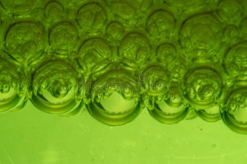 Glossy, Light Green Background with an Abundance of Soap Bubbles ...
