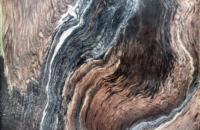 Glossy Marble with Brown, Black and White Patterns. a Sample of Natural ...