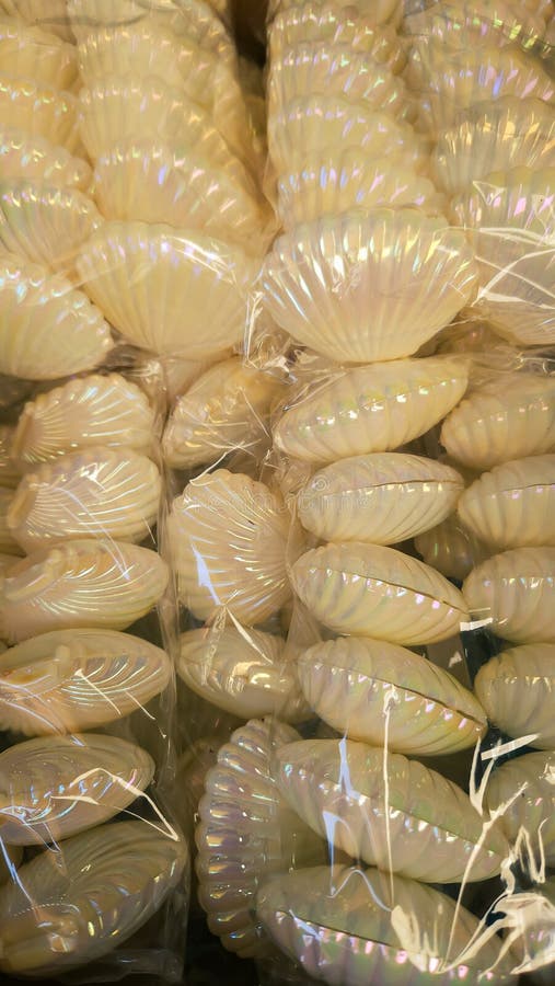 Glossy Plastic Oyster Shell Boxes in Package Stock Image - Image of ...