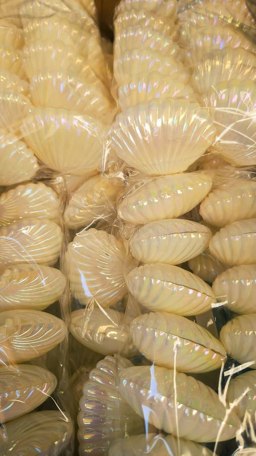 Glossy Plastic Oyster Shell Boxes in Package Stock Photo - Image of ...
