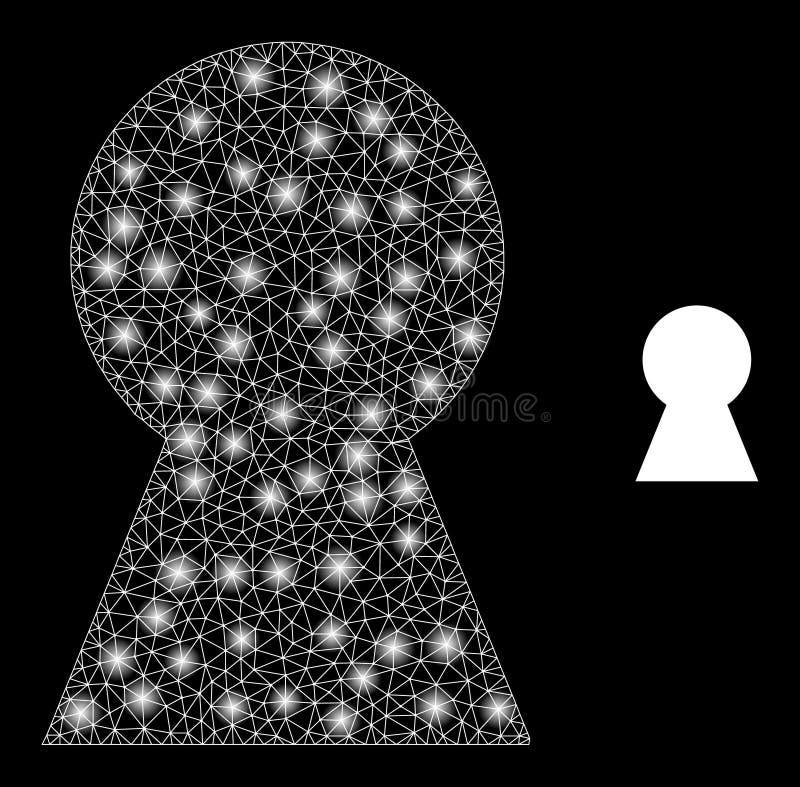 Vector Mesh Web Key Hole with Shiny Carcass Flashes Stock Vector ...