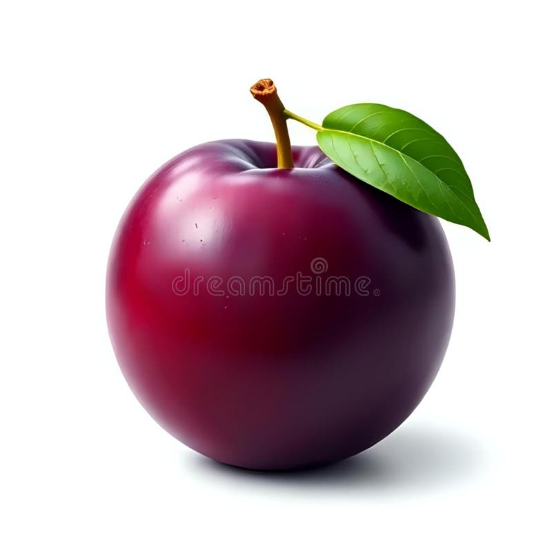 Glossy Purple Plum with a Golden Stem Stock Image - Image of plum, stem ...