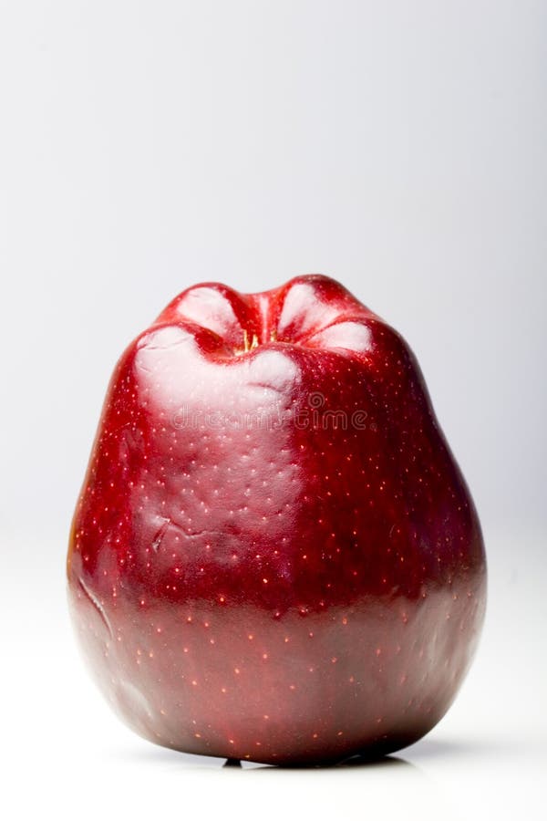 Glossy red delicious apple stock photo. Image of health - 11834592