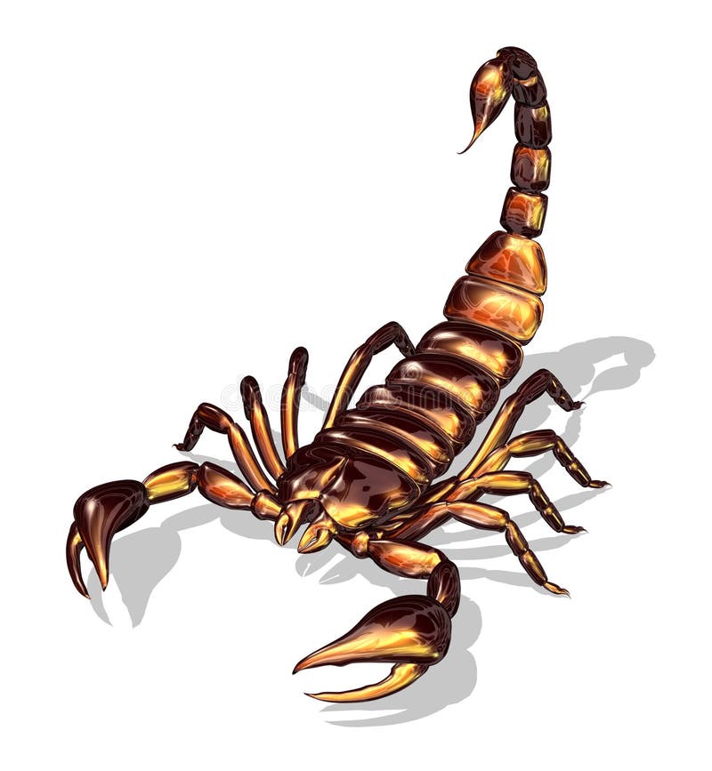 Scorpion Stock Illustrations – 13,939 Scorpion Stock Illustrations ...