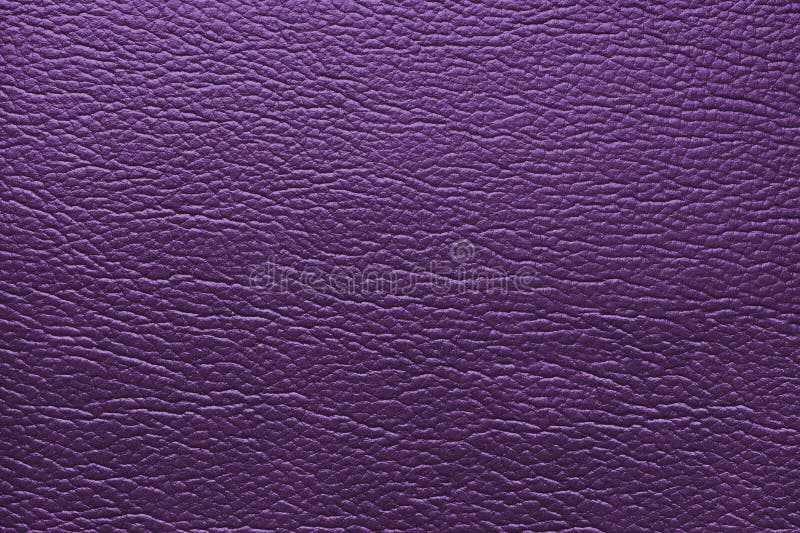 Glossy Structure of Genuine Leather, Natural Purple Colored Skin ...