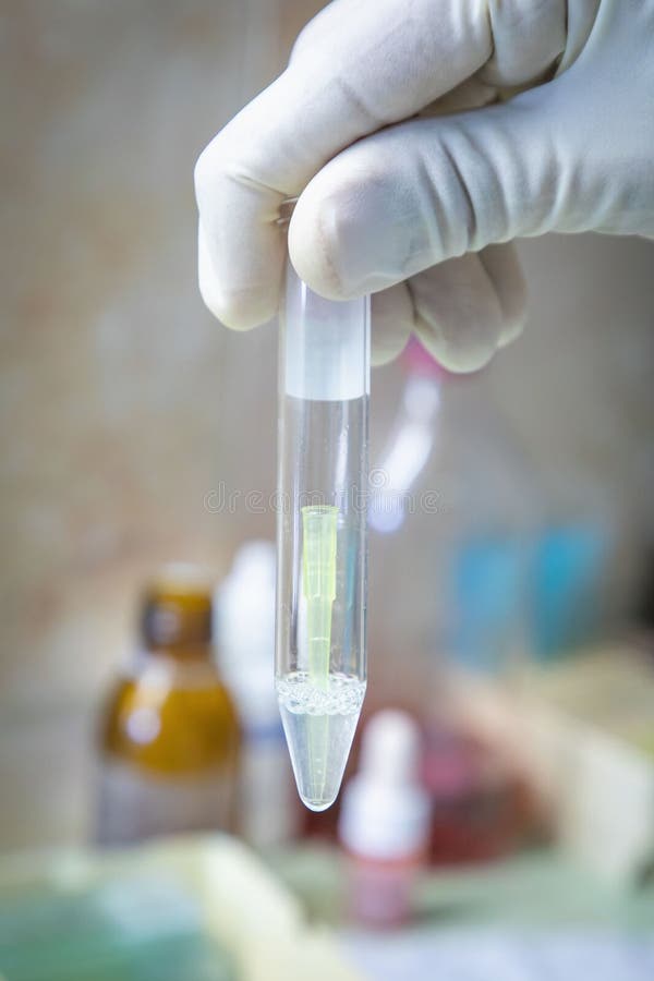 Gloved Hand Holding Test Tube in Lab Stock Image - Image of equipment ...